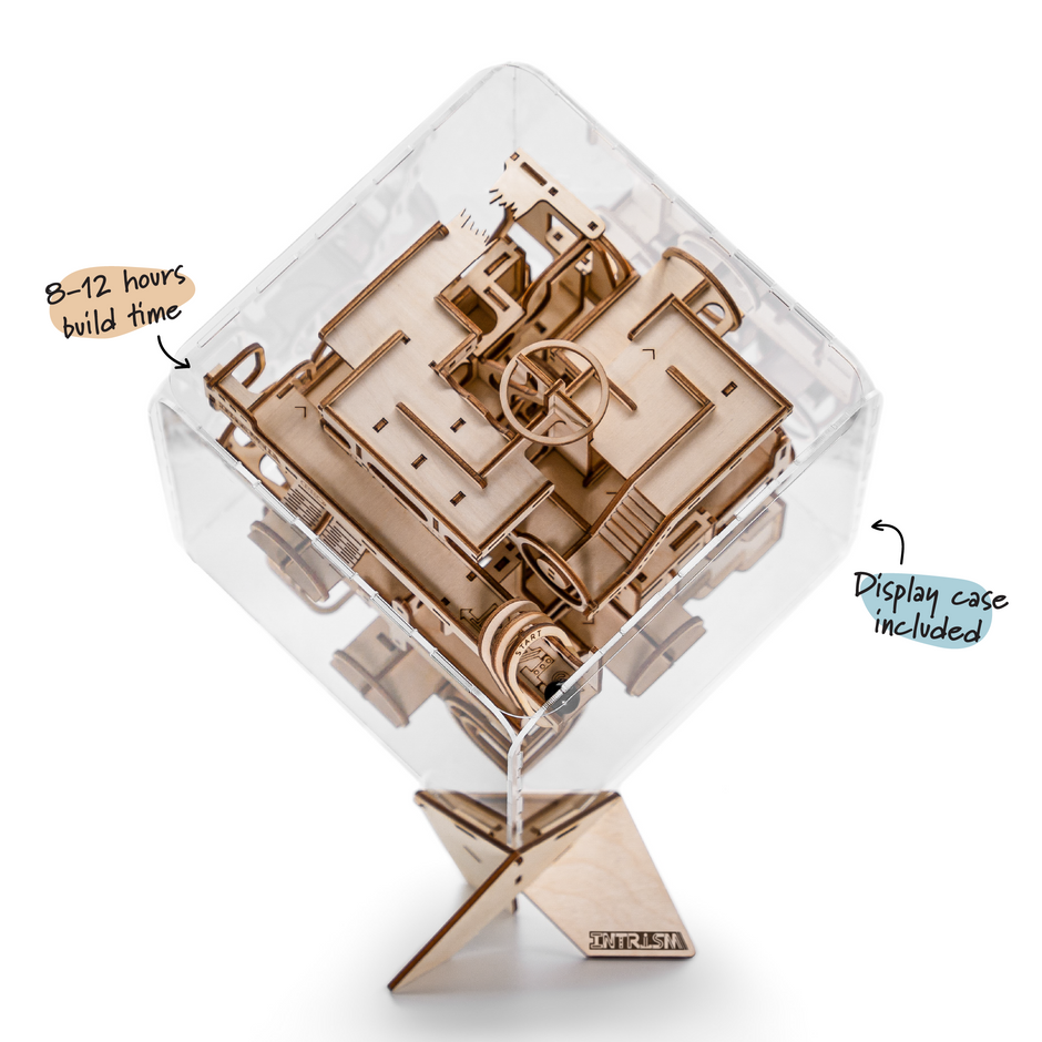 3D Puzzles & Marble Maze Labyrinth Game | Intrism
