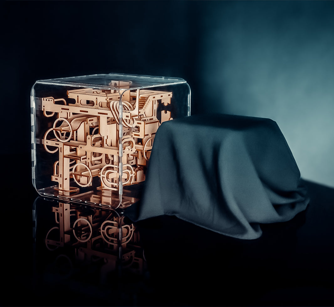 Intrism Pro | DIY Marble Maze | 3D Wooden Kits