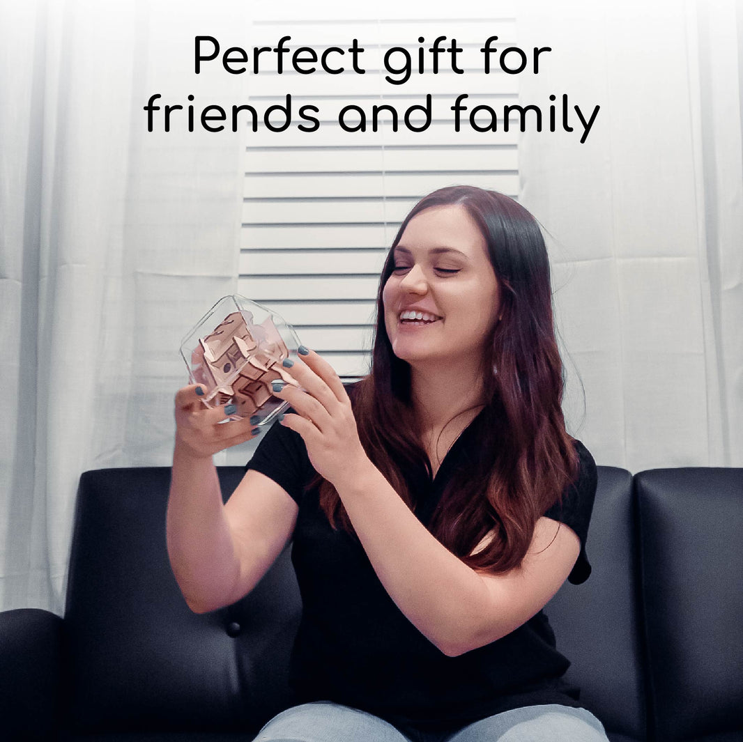 Intrism Level One - Marble Maze & Fidget Toy That You Build Yourself